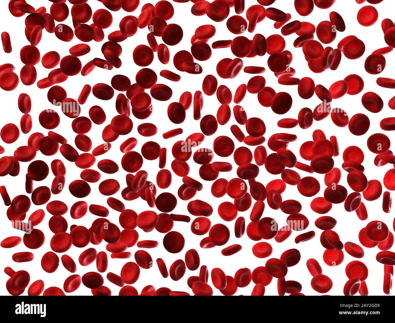 Human red blood cells hi-res stock photography and images - Alamy