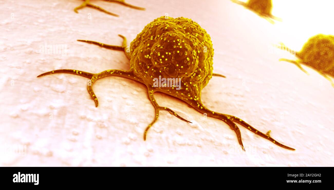 Scanning electron microscope cancer hi-res stock photography and images ...