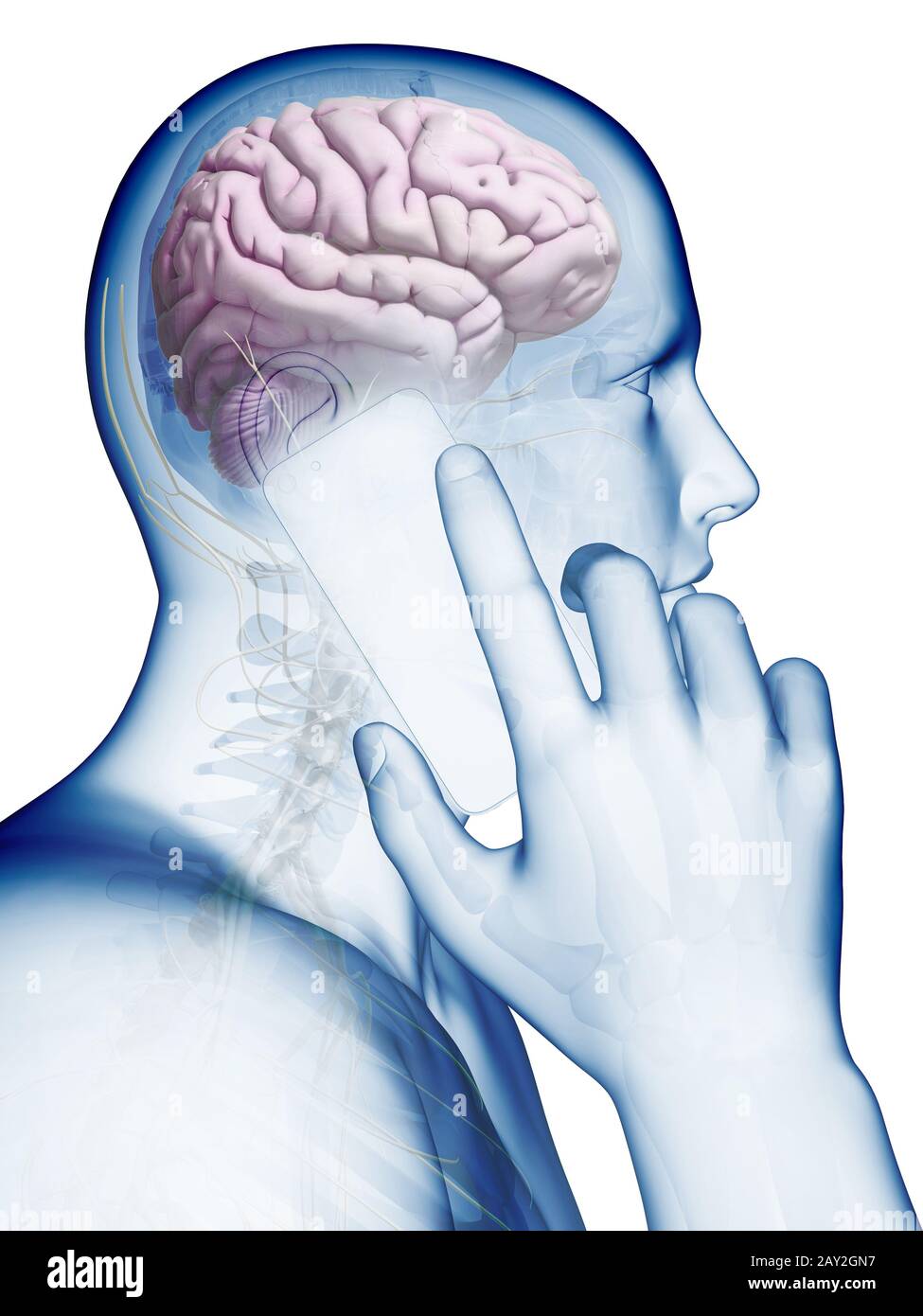 mobile phone influence on the brain Stock Photo - Alamy