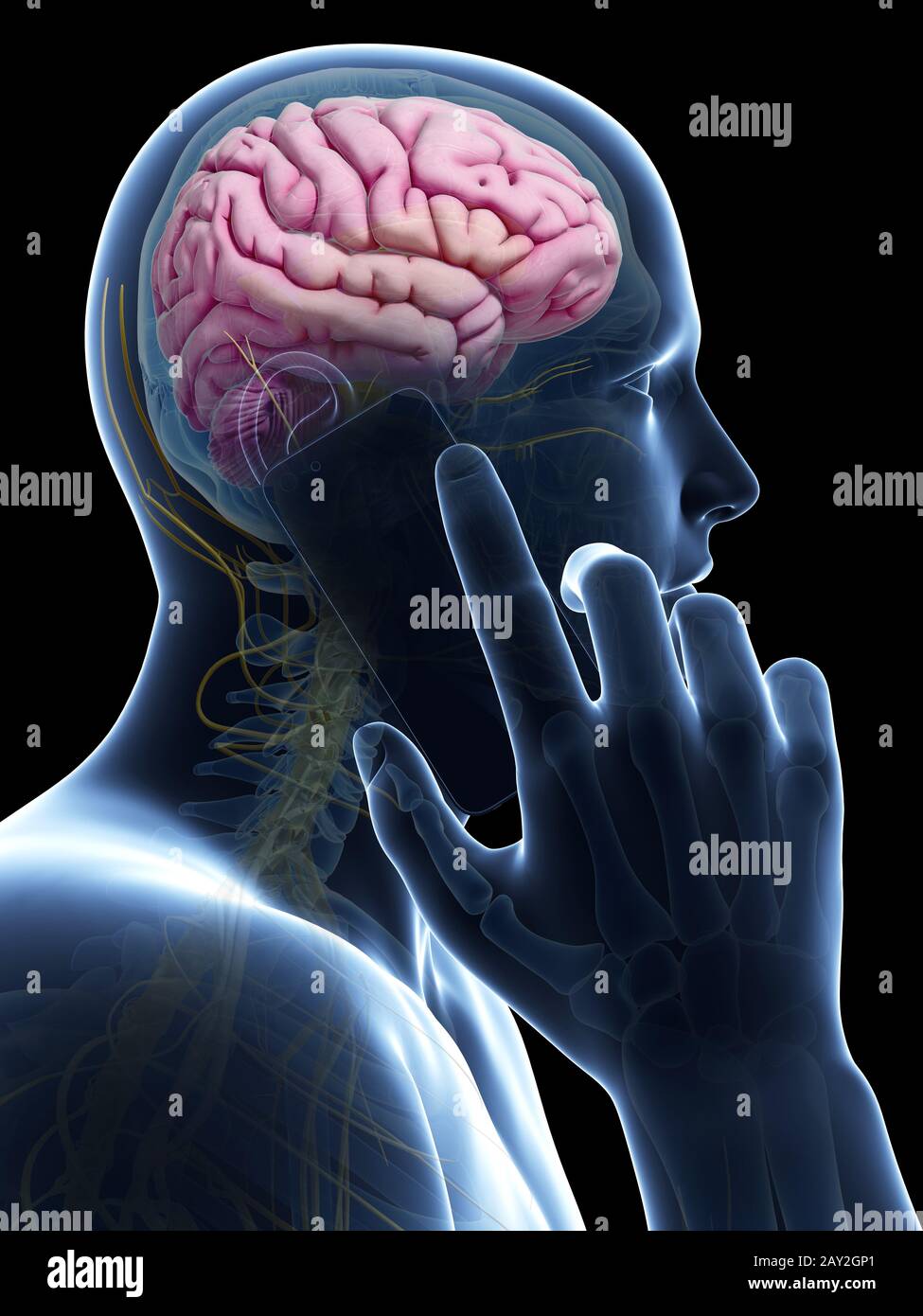mobile phone influence on the brain Stock Photo - Alamy