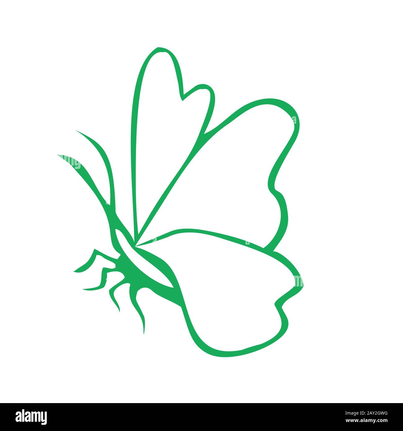 Illustration of a butterfly on a white background, outline insects for ...