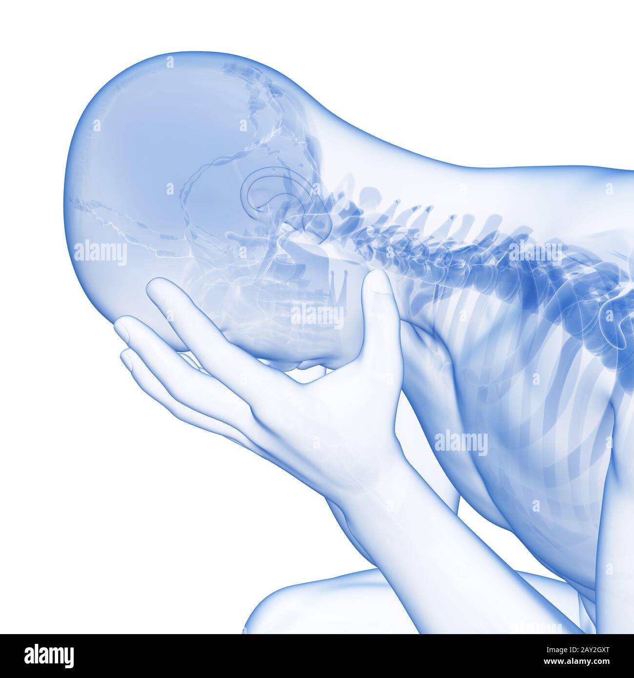 depression illustration - visible anatomy Stock Photo - Alamy