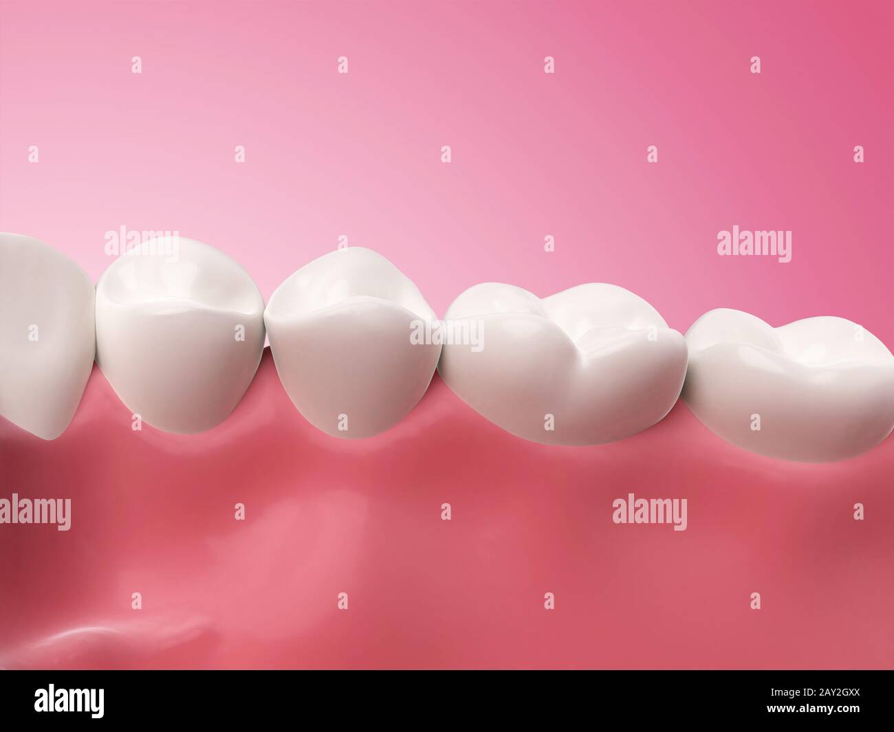 3d rendered illustration - lower teeth Stock Photo - Alamy