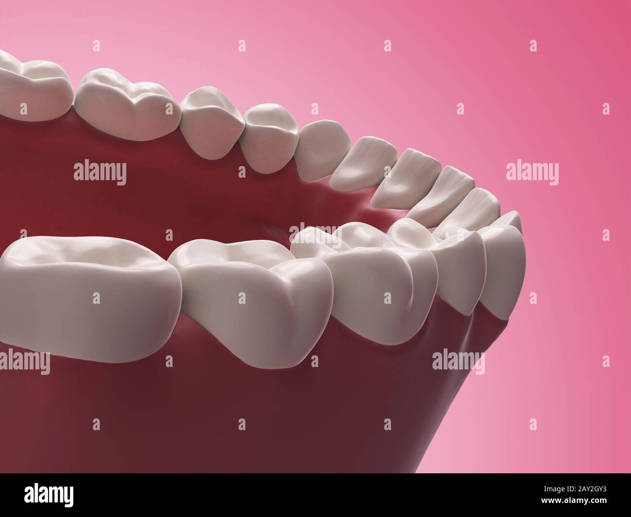 3d rendered illustration - lower teeth Stock Photo - Alamy