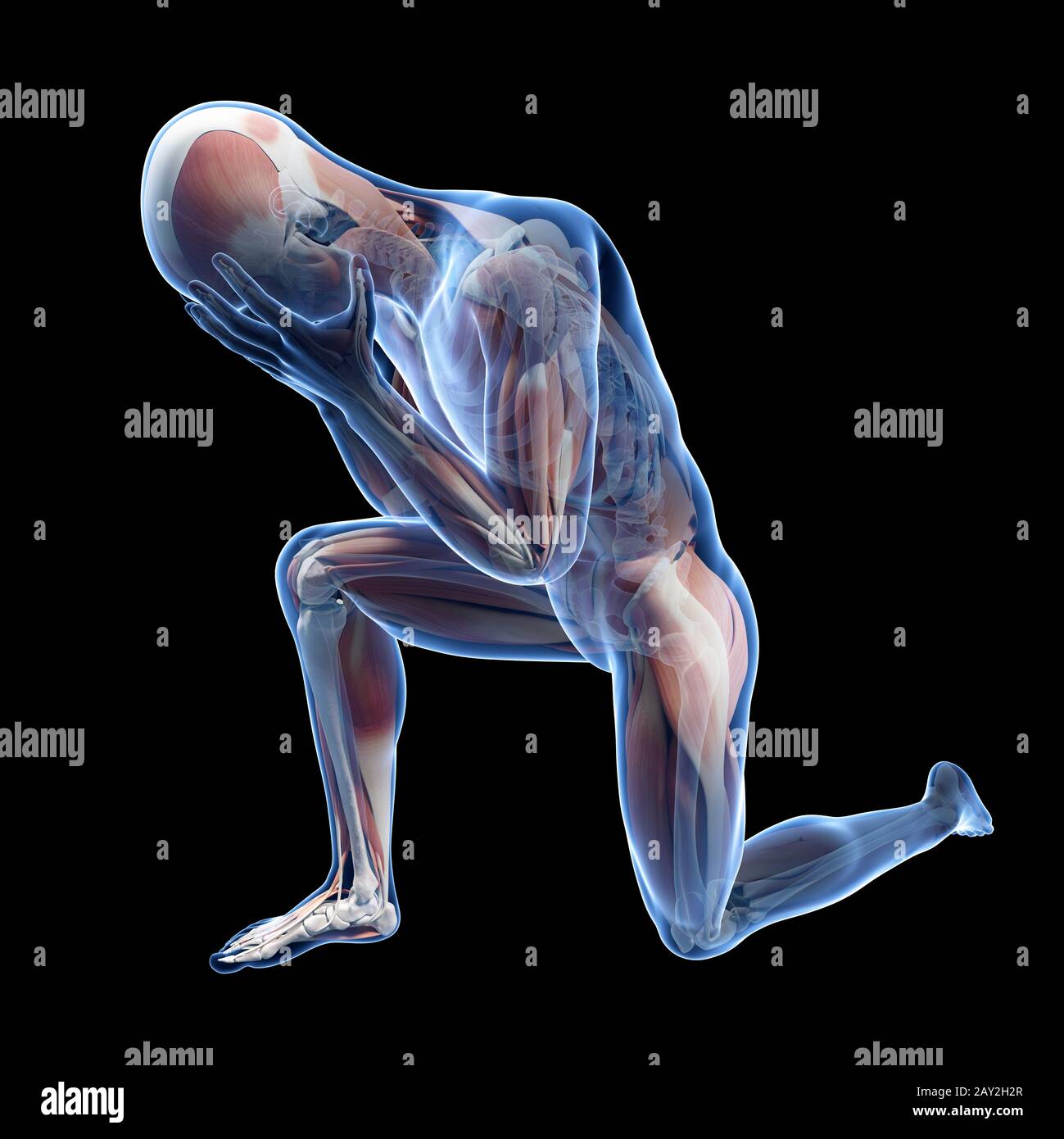 depression illustration - visible anatomy Stock Photo - Alamy
