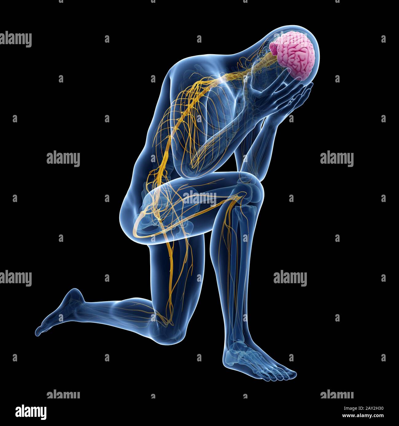 depression illustration - visible anatomy Stock Photo - Alamy