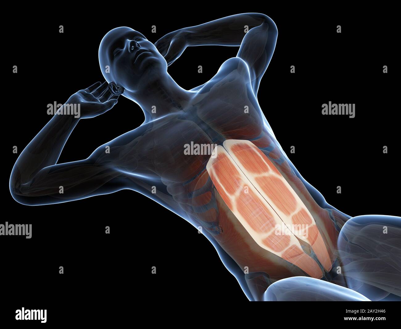 Doing sit ups illustration hi-res stock photography and images - Alamy