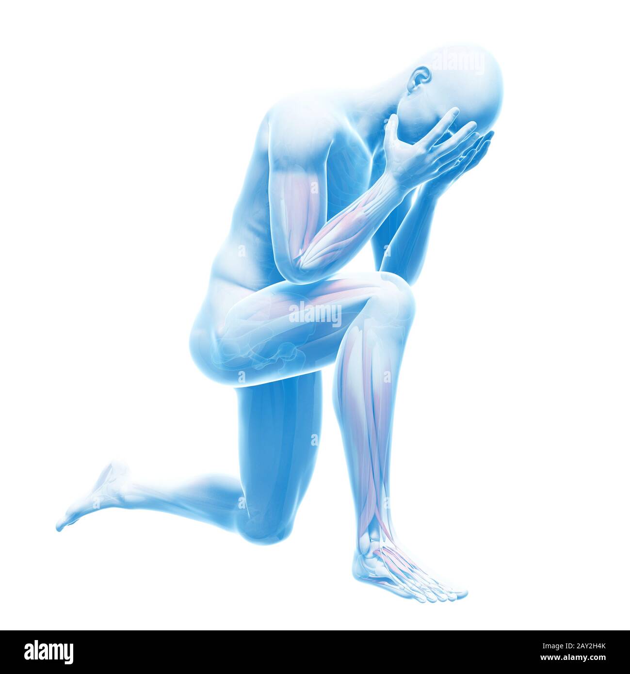 Head visible Cut Out Stock Images & Pictures - Alamy