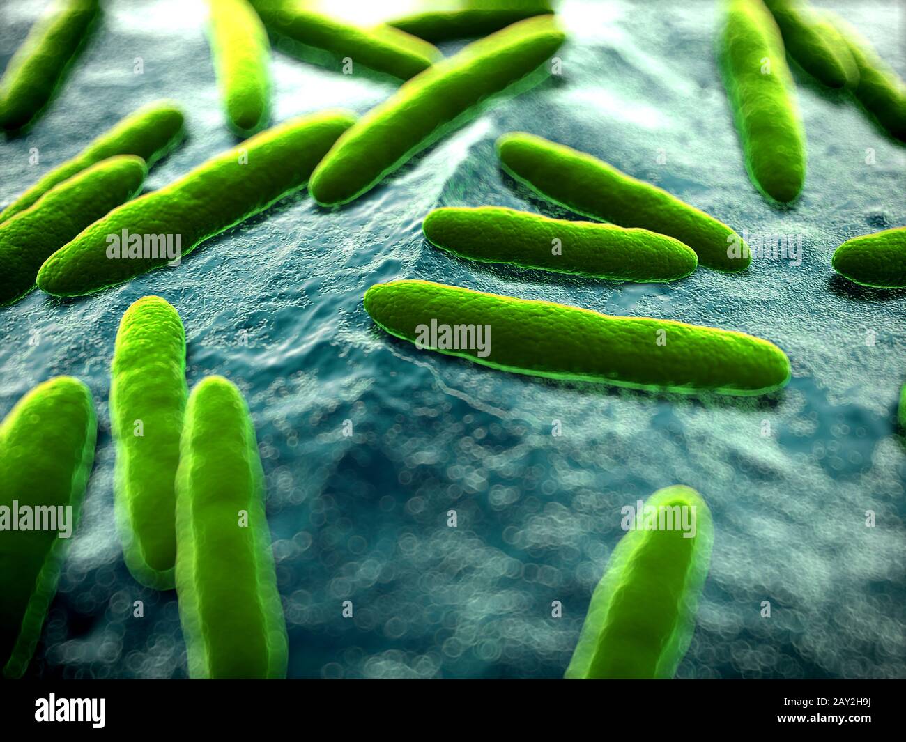 3d rendered scientific illustration of some bacteria Stock Photo - Alamy