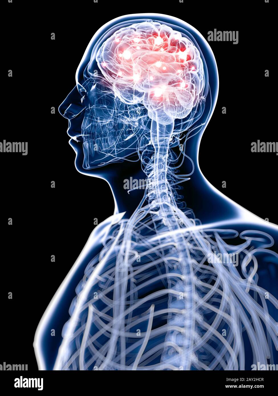 3d rendered illustration of an active brain Stock Photo - Alamy