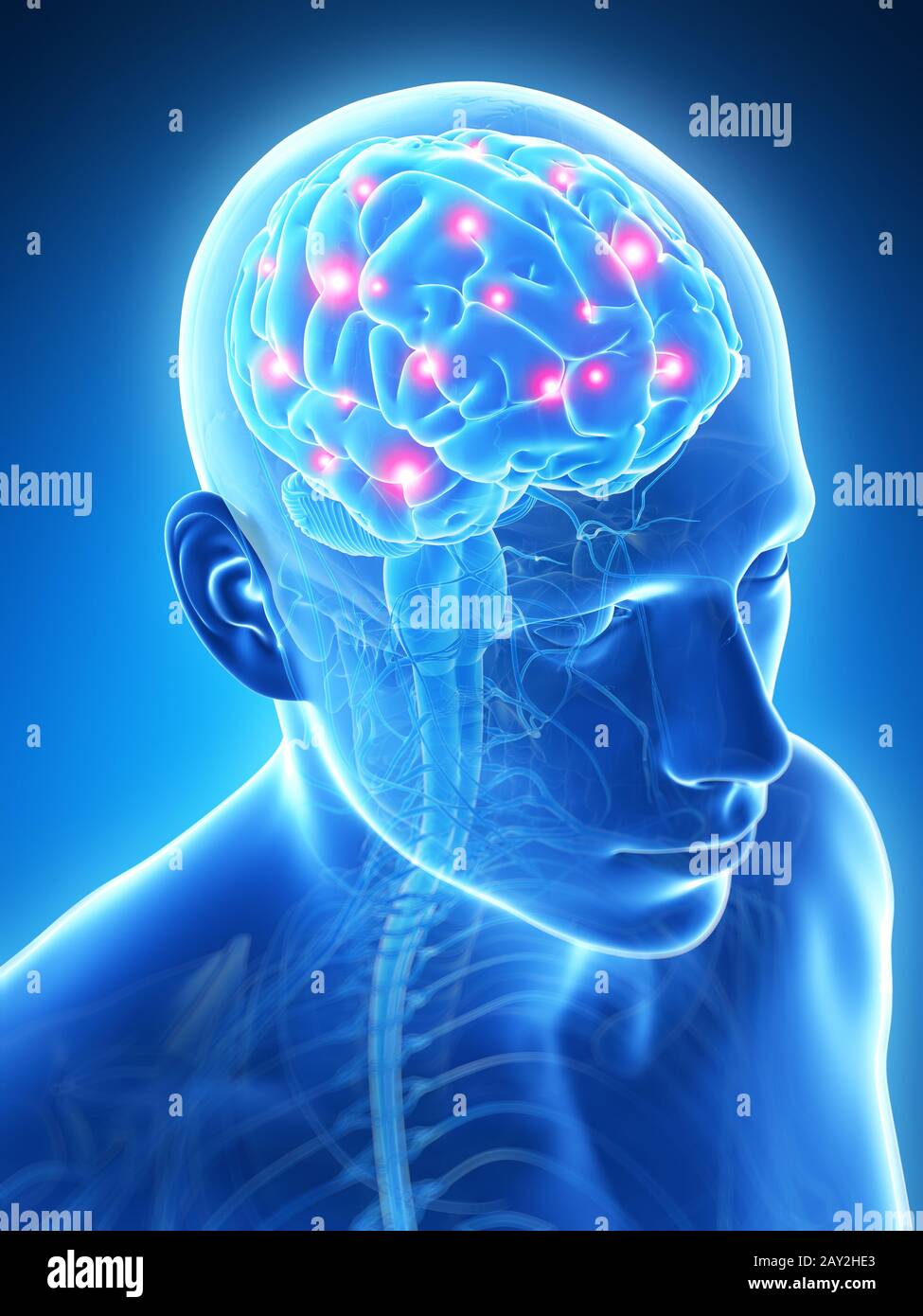 3d rendered illustration - active brain Stock Photo - Alamy