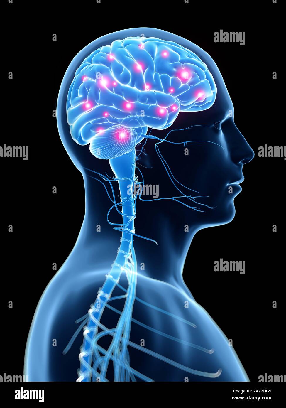 3d rendered illustration - active brain Stock Photo - Alamy