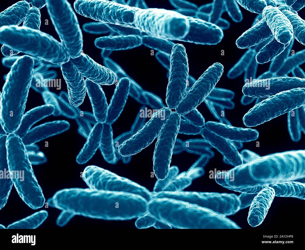 Chromosomes Cell High Resolution Stock Photography and Images - Alamy