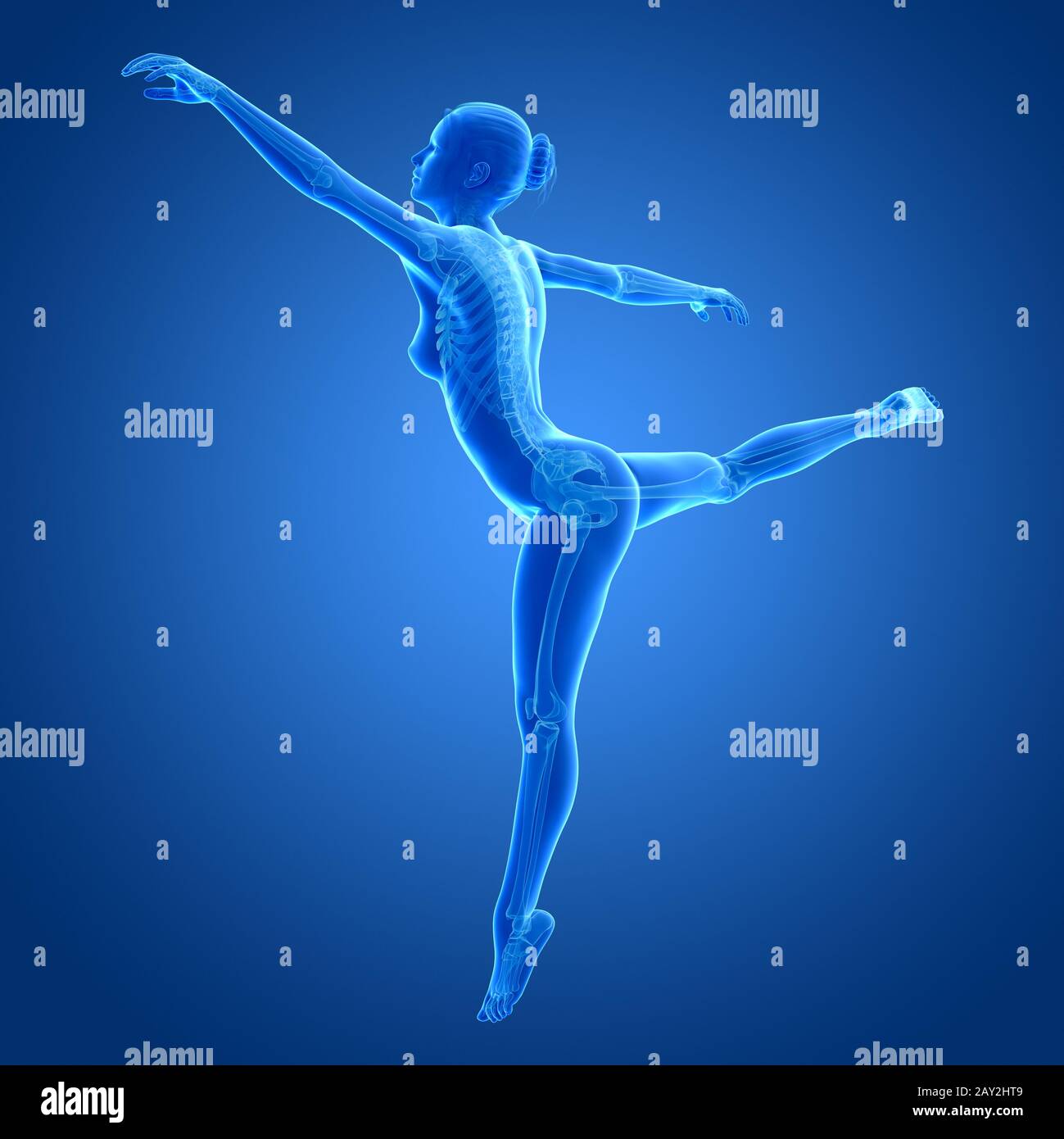 Anatomy of a dancer hi-res stock photography and images - Alamy