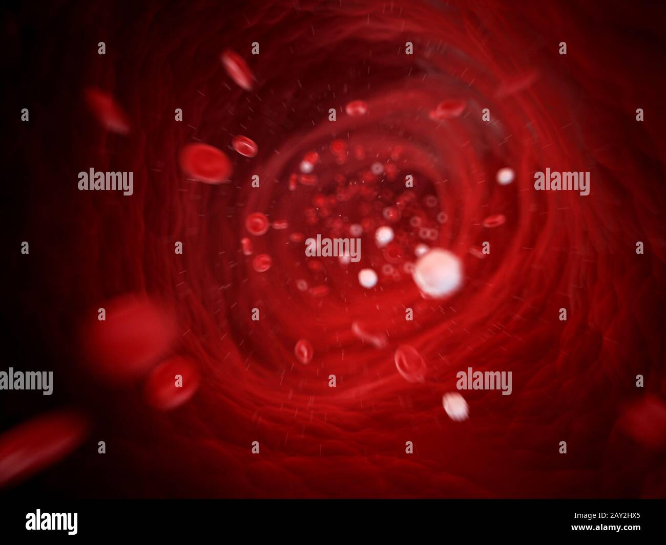 Human blood cells microscope hi-res stock photography and images - Alamy