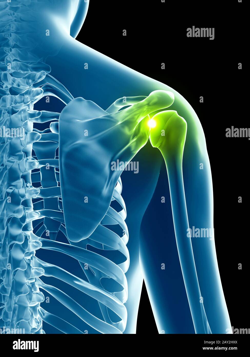 Transparent shoulder hi-res stock photography and images - Alamy