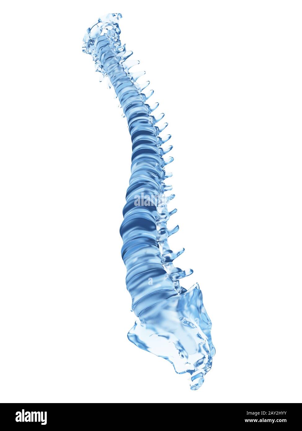 3d rendered illustration of a spine made of glass Stock Photo - Alamy