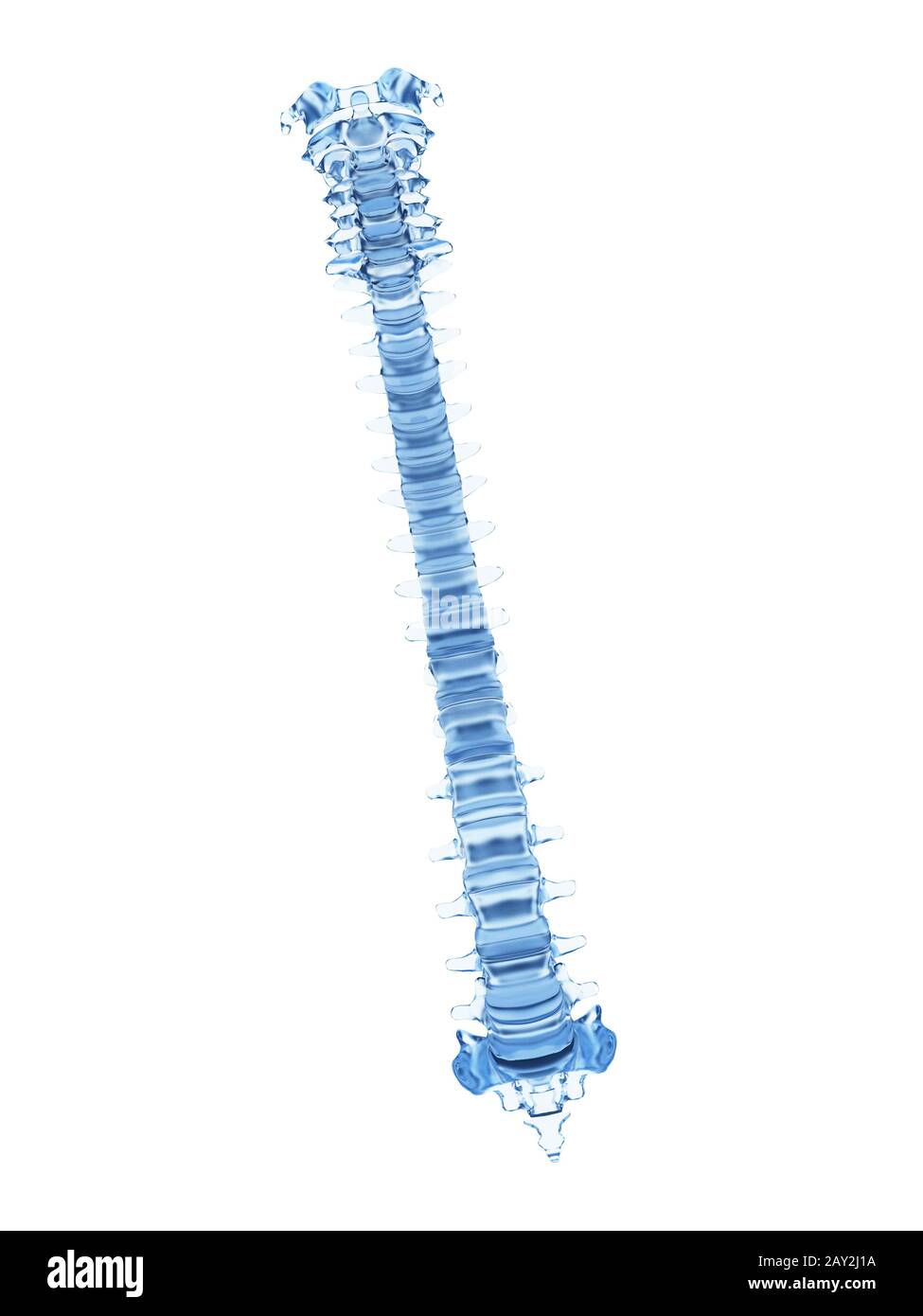 3d rendered illustration of a spine made of glass Stock Photo - Alamy
