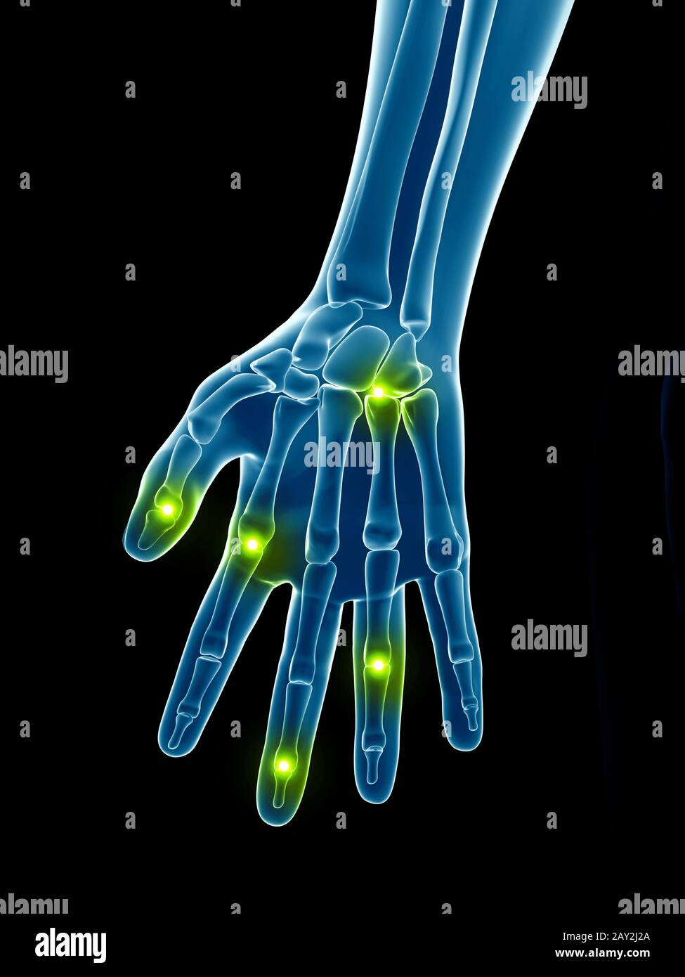 transparent female skeleton - finger bones Stock Photo - Alamy