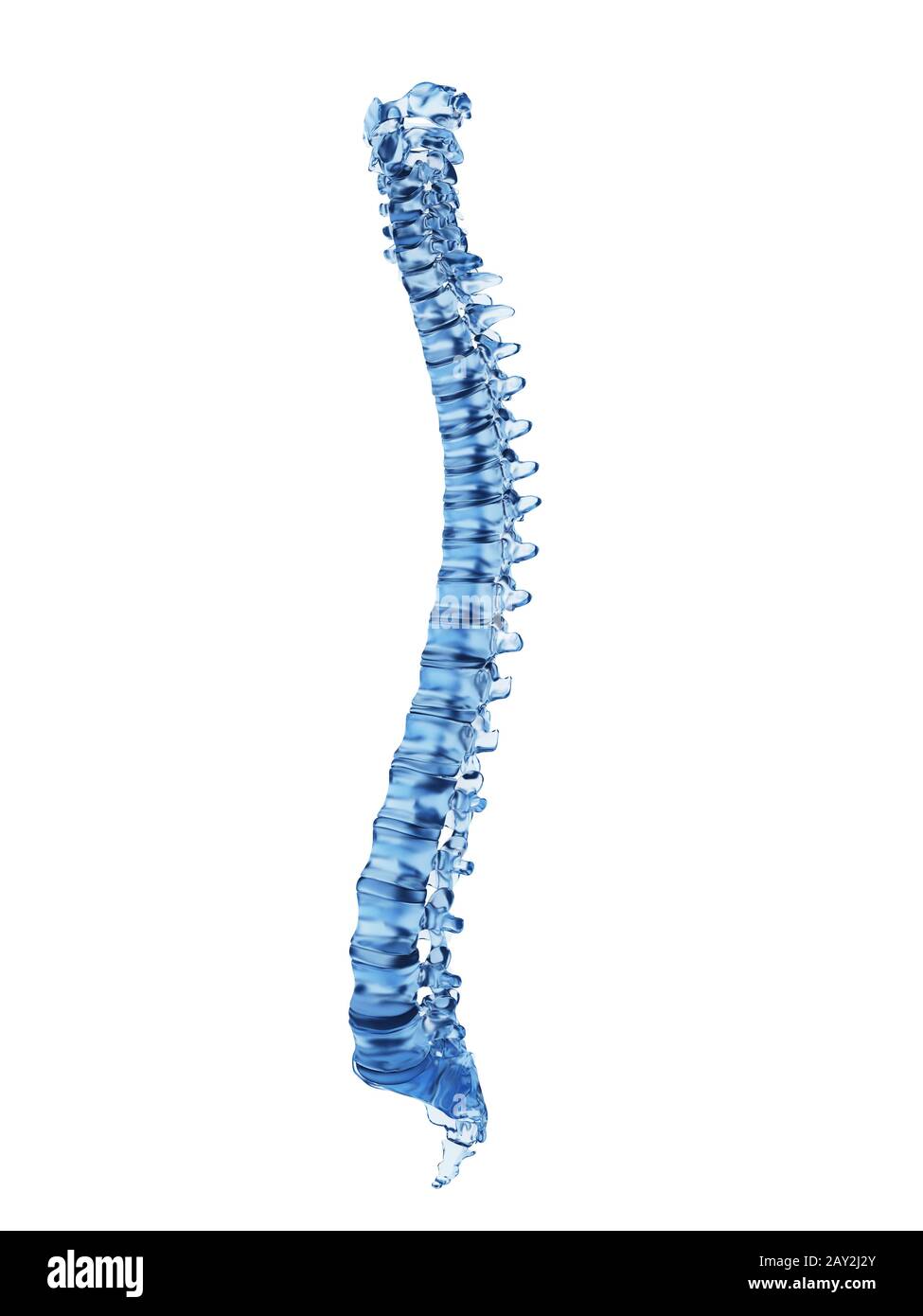 3d rendered illustration of a spine made of glass Stock Photo - Alamy