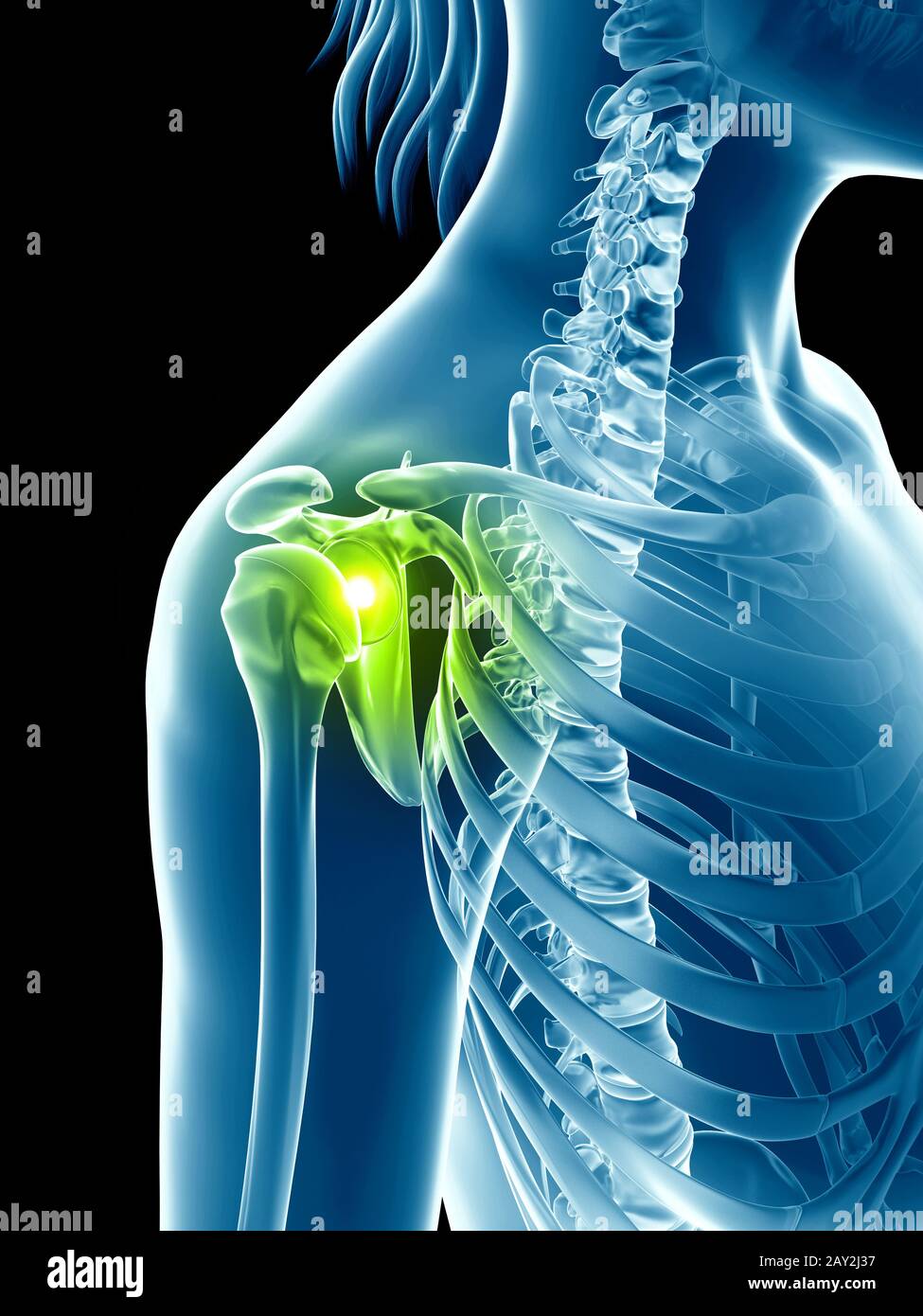 Transparent shoulder hi-res stock photography and images - Alamy