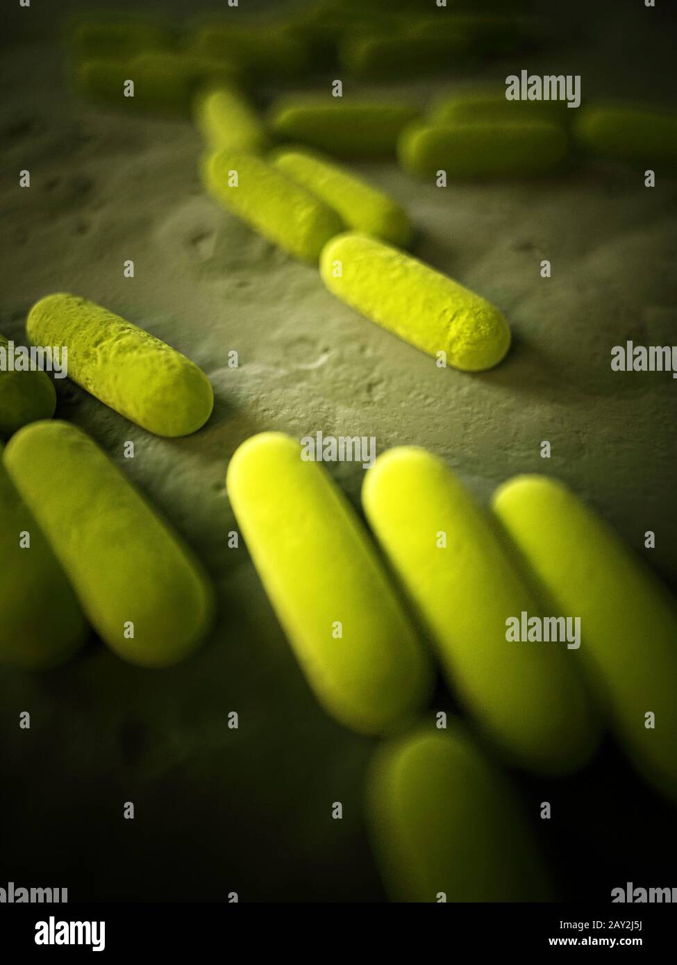 3d rendered illustration - generic bacteria Stock Photo - Alamy