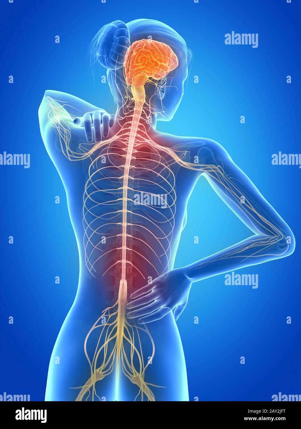 Backache woman graphic hi-res stock photography and images - Alamy