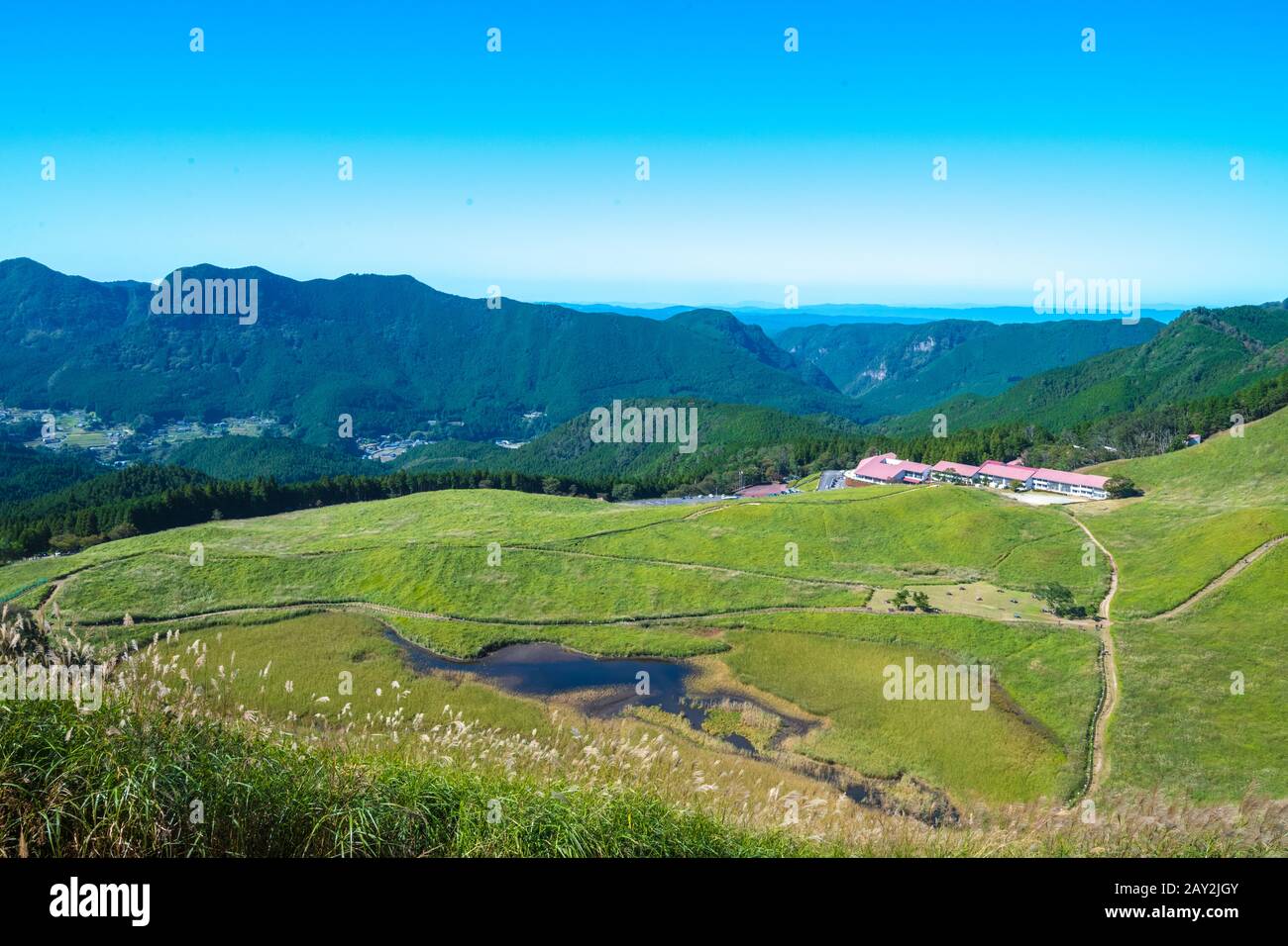 Japanese green grass hi-res stock photography and images - Alamy