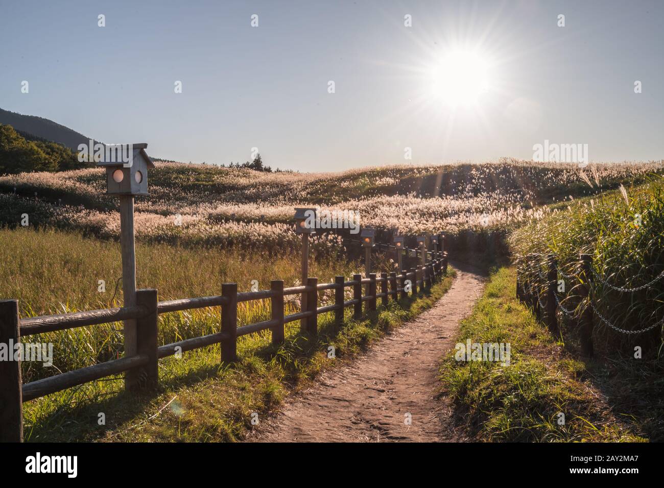 Golden Hour Fine Day Evening Time In Autumn The Sunlight Was