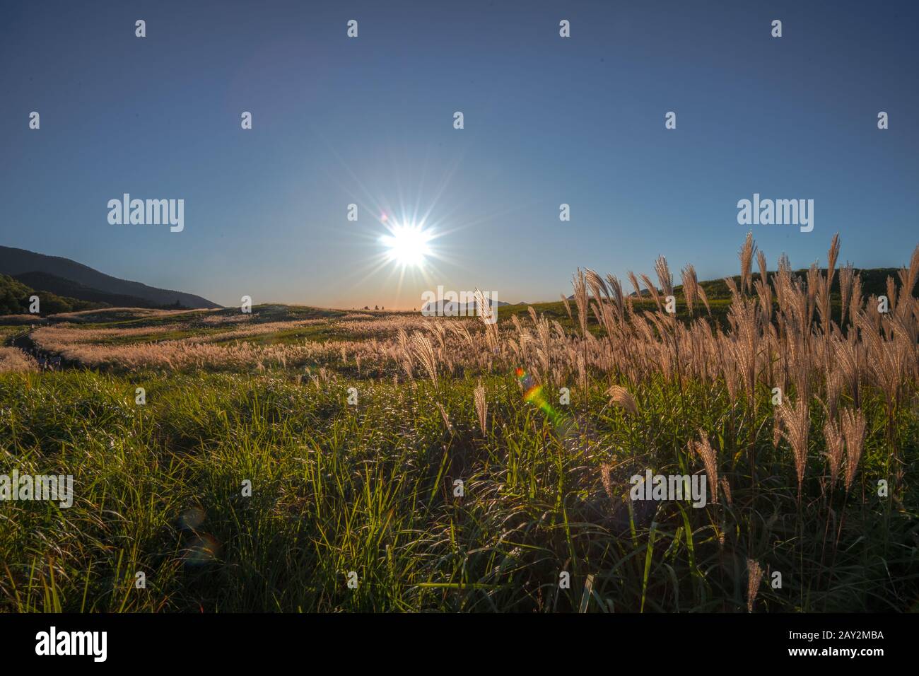 Golden Hour Fine Day Evening Time In Autumn The Sunlight Was