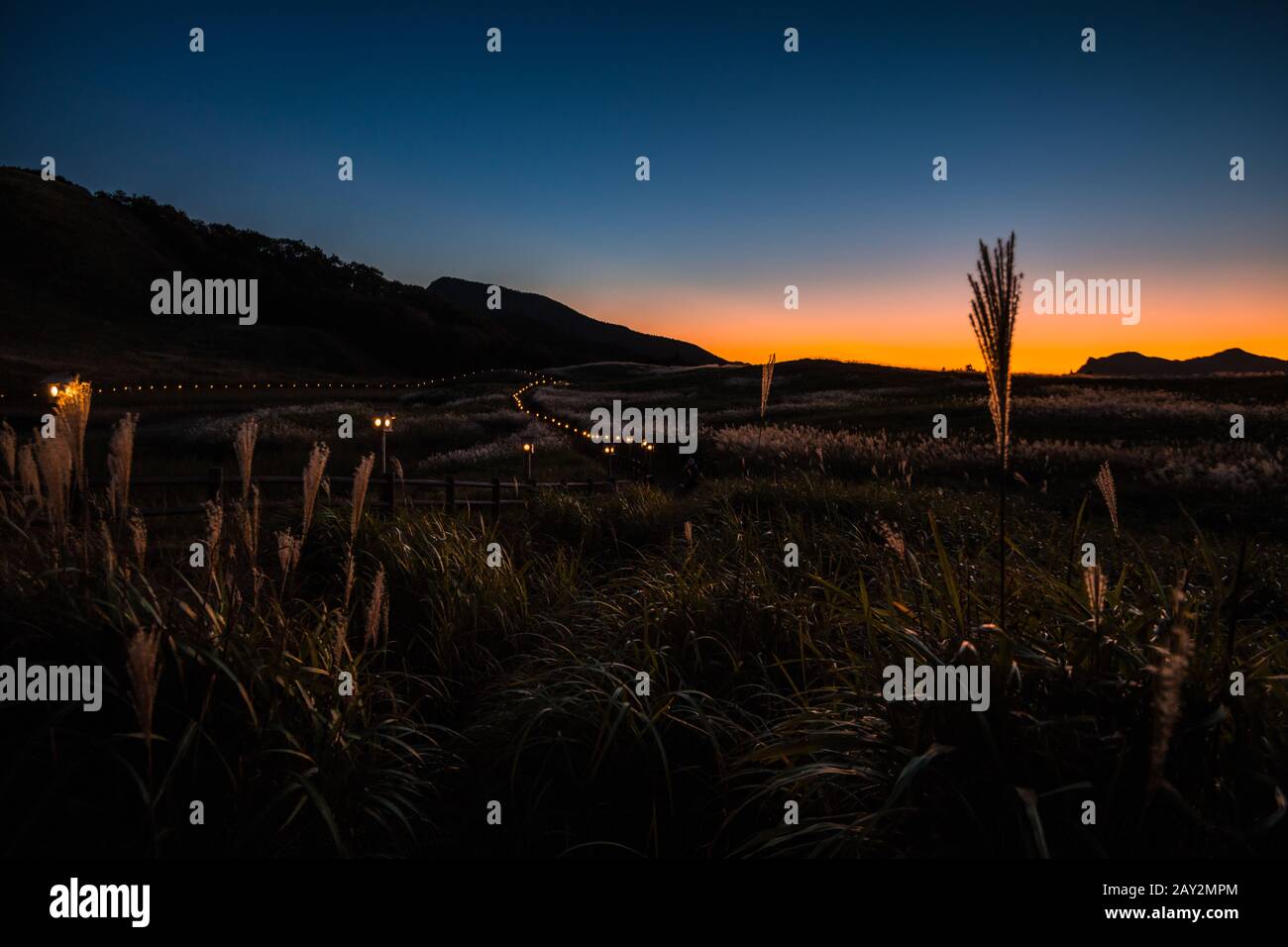 Mysterious twilight. Meadow at Soni Highland illuminated with classic ...