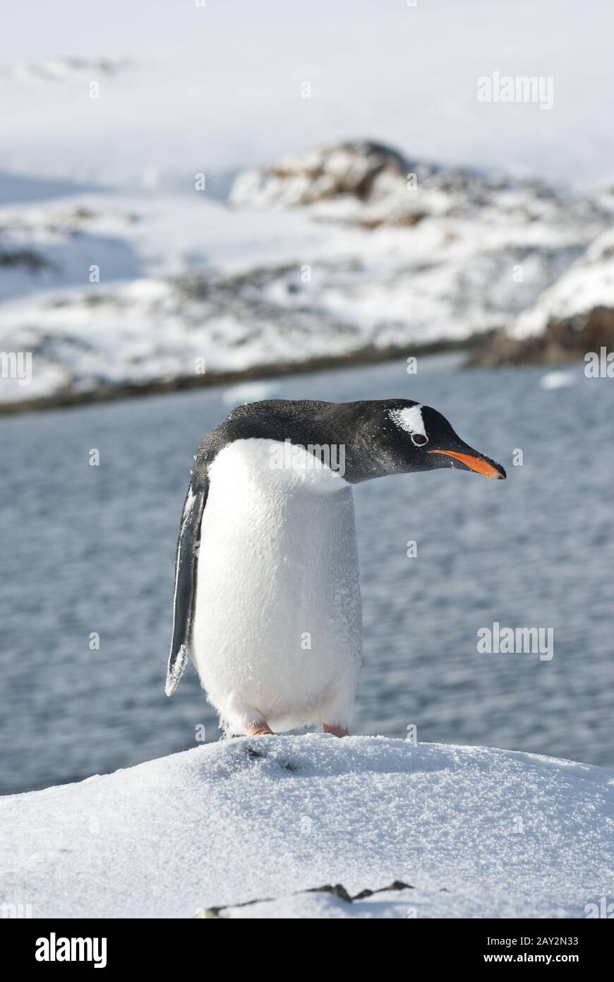 Pole on the ski slope hi-res stock photography and images - Alamy