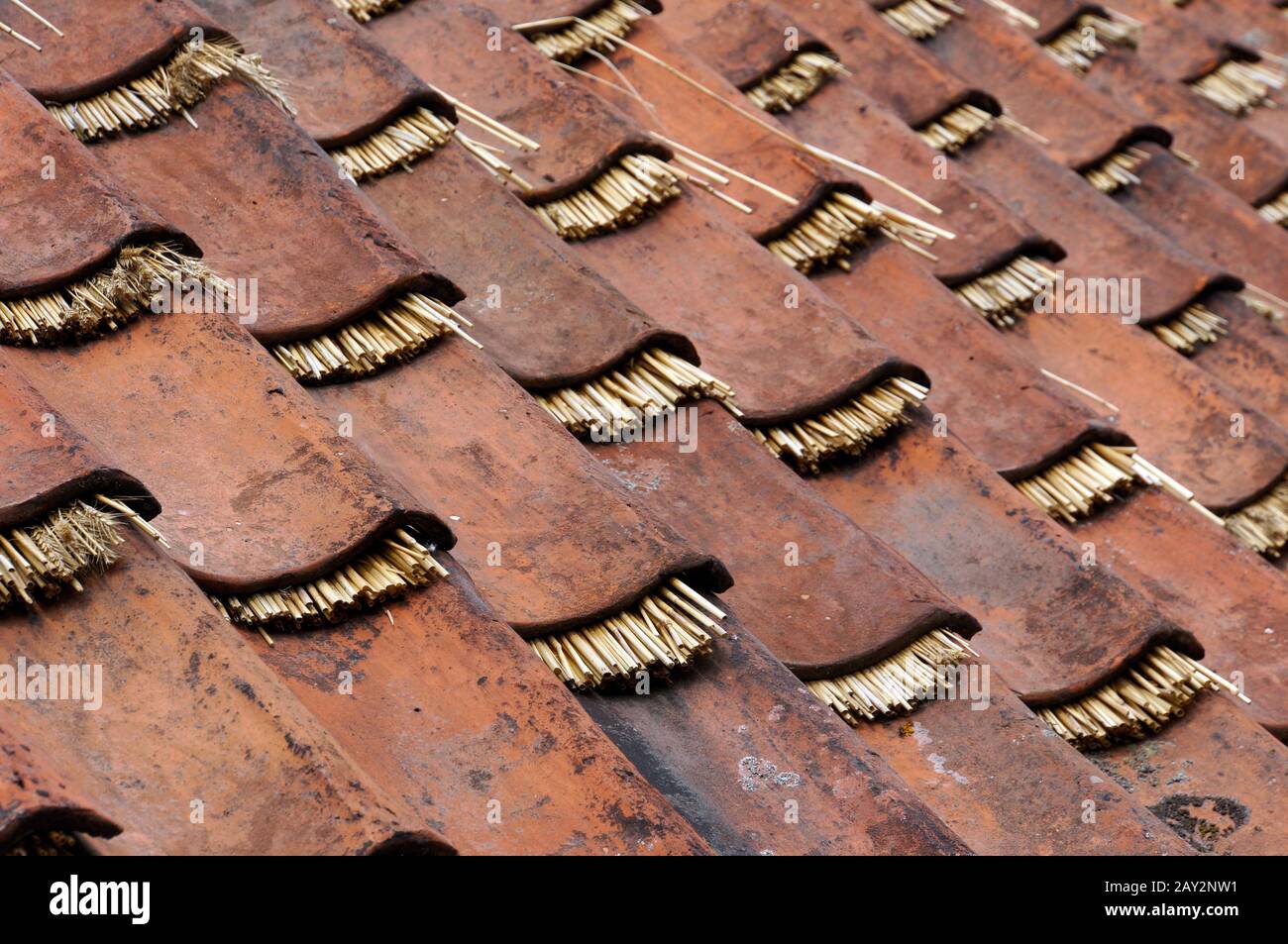 Straw insulation hi-res stock photography and images - Alamy
