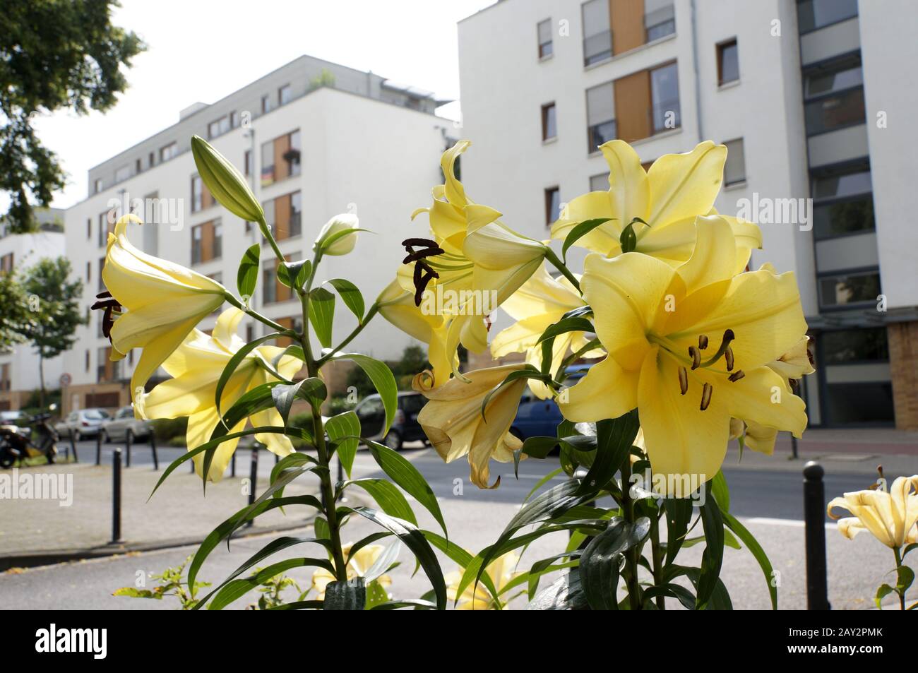 modern urban housing Stock Photo - Alamy