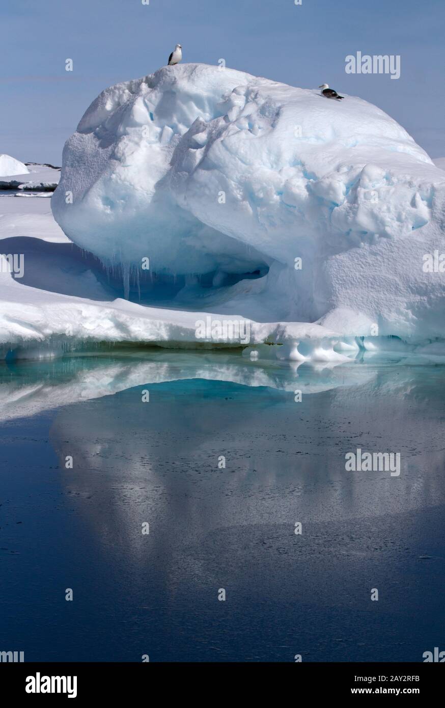 small iceberg in the water near the Antarctic islands are sitting gulls ...