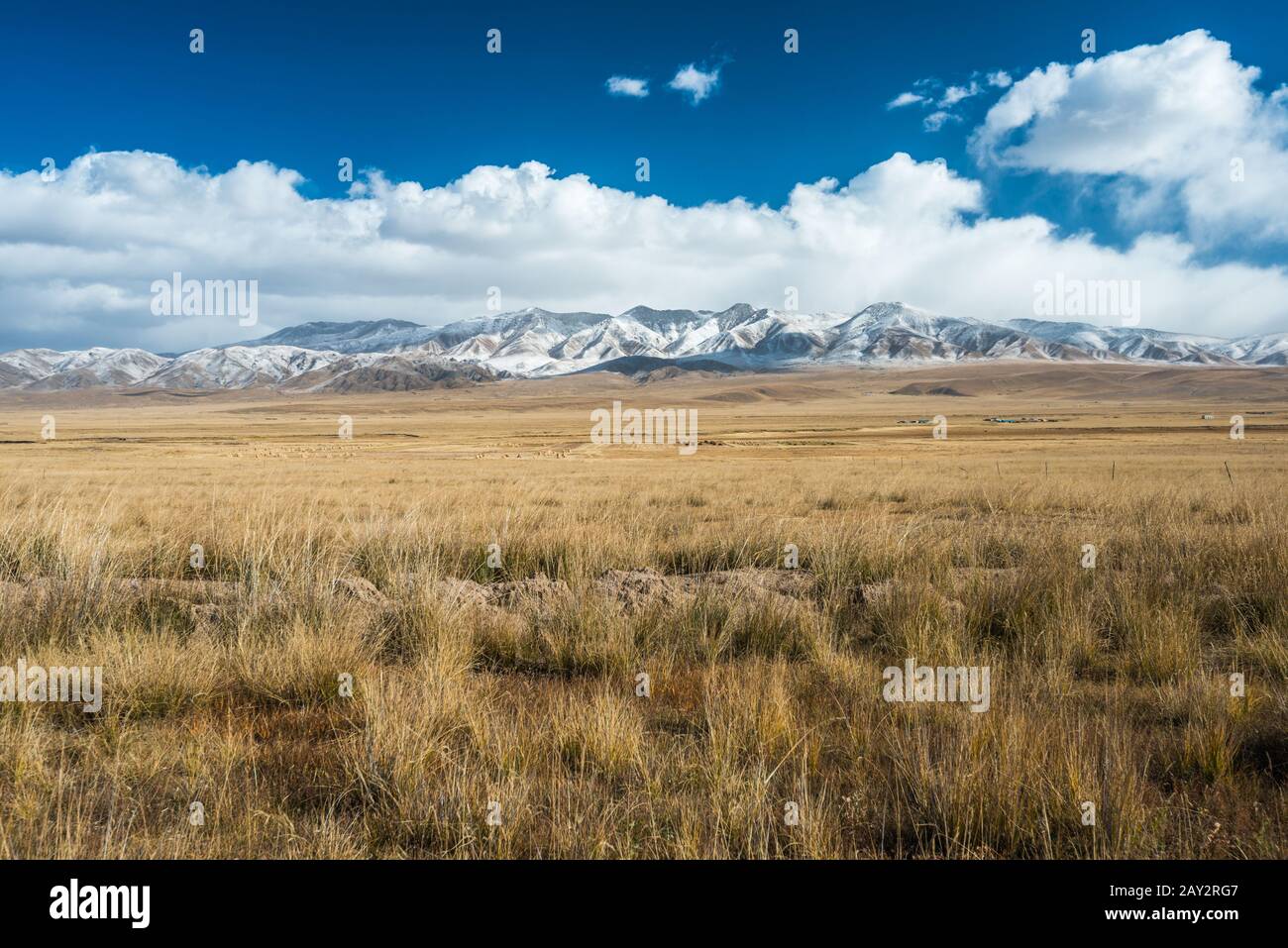 Tibetan highlands and distant snowy mountains Stock Photo - Alamy