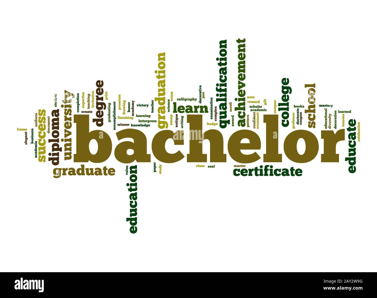 Bachelor word cloud Stock Photo - Alamy