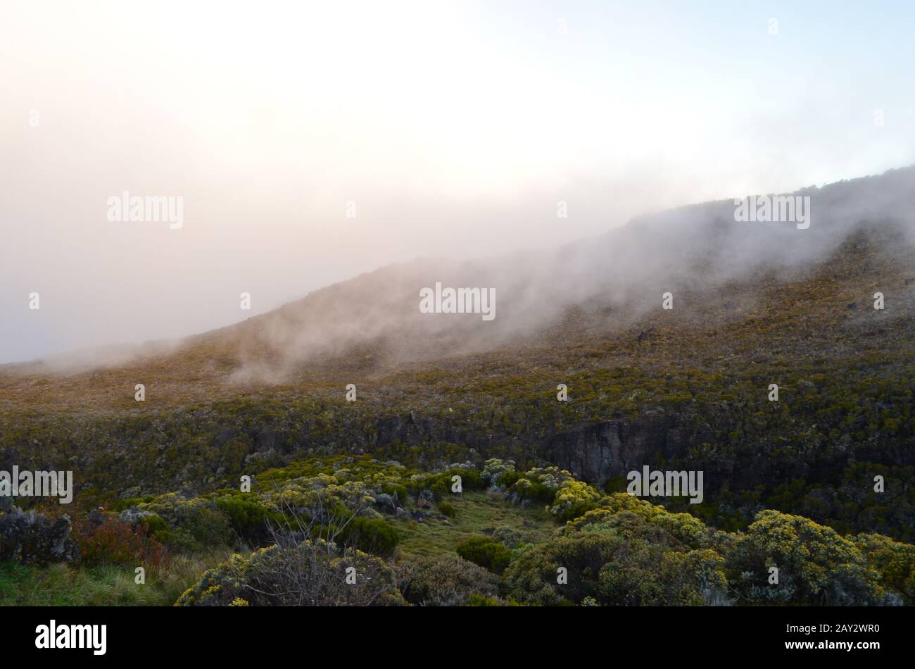 Reunion island highest point hi-res stock photography and images - Alamy