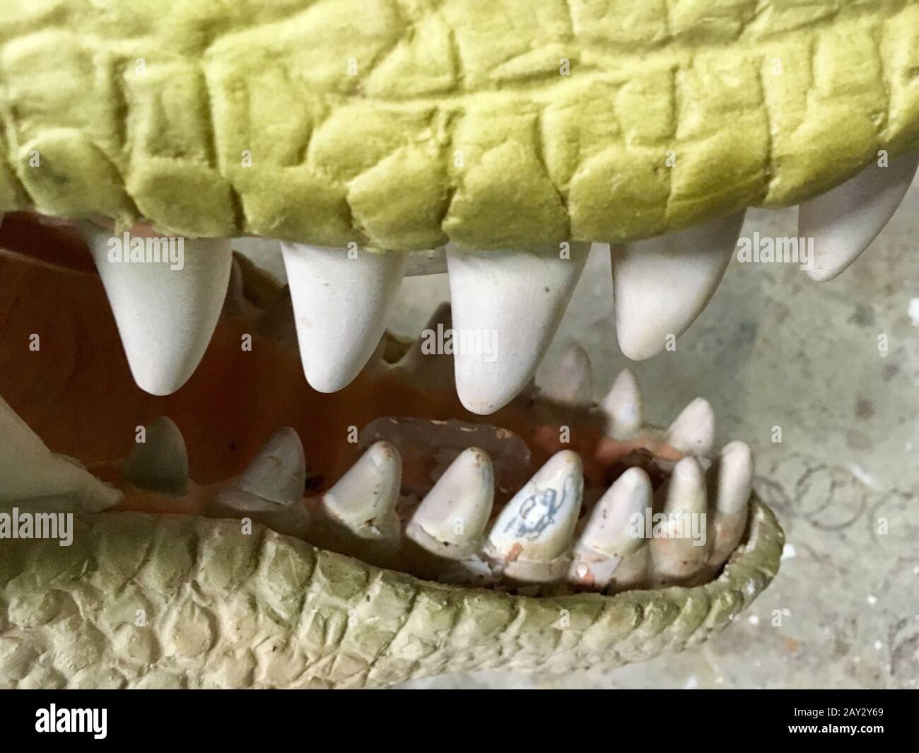 close up of a range of teeth of a dinosaure T-Rex mouth animal beast ...
