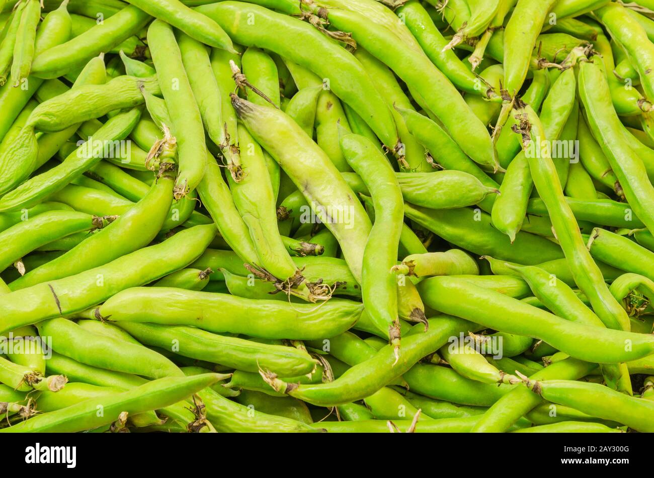 Fava Bunch High Resolution Stock Photography and Images - Alamy