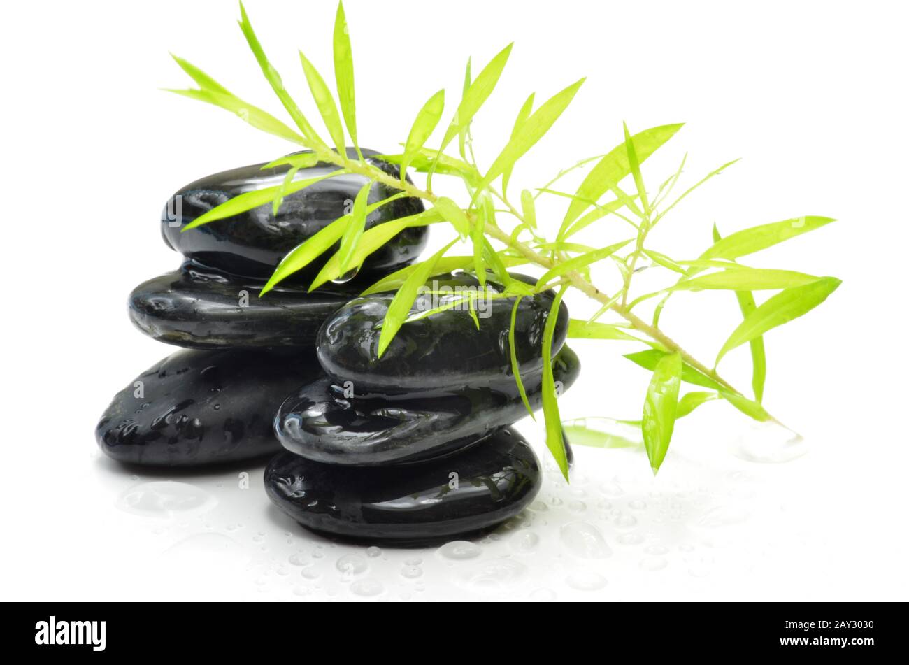 Stone plant Cut Out Stock Images & Pictures - Alamy