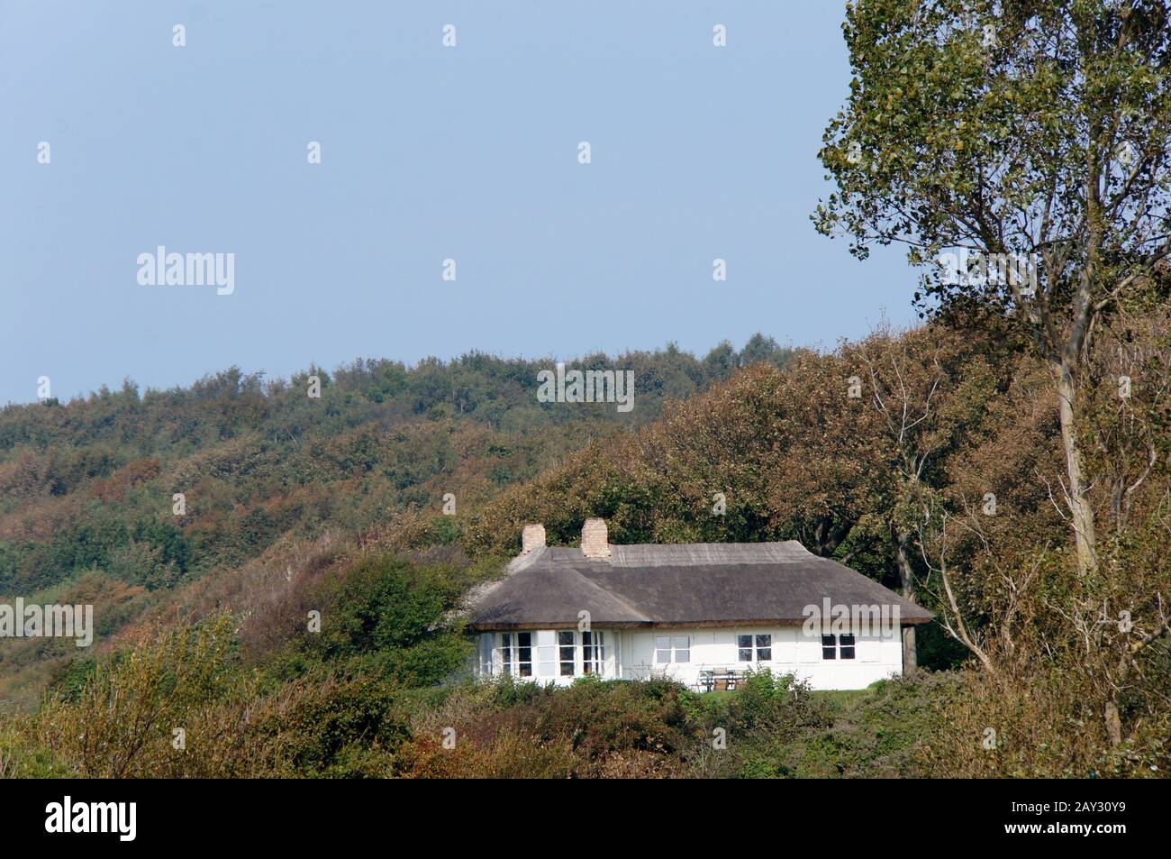 Detached house in typical architectural style Stock Photo - Alamy