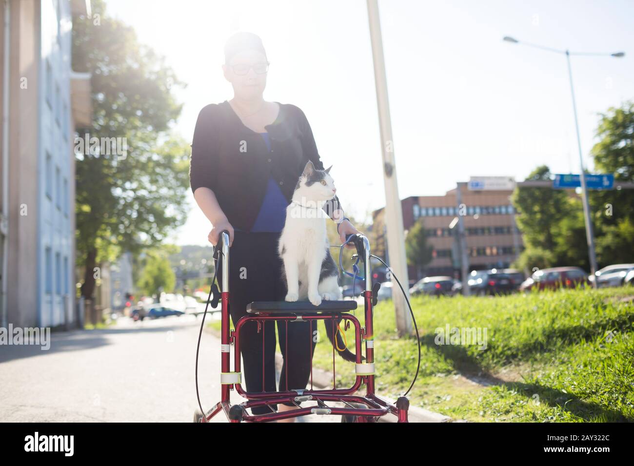 Mobility walker hi-res stock photography and images - Alamy