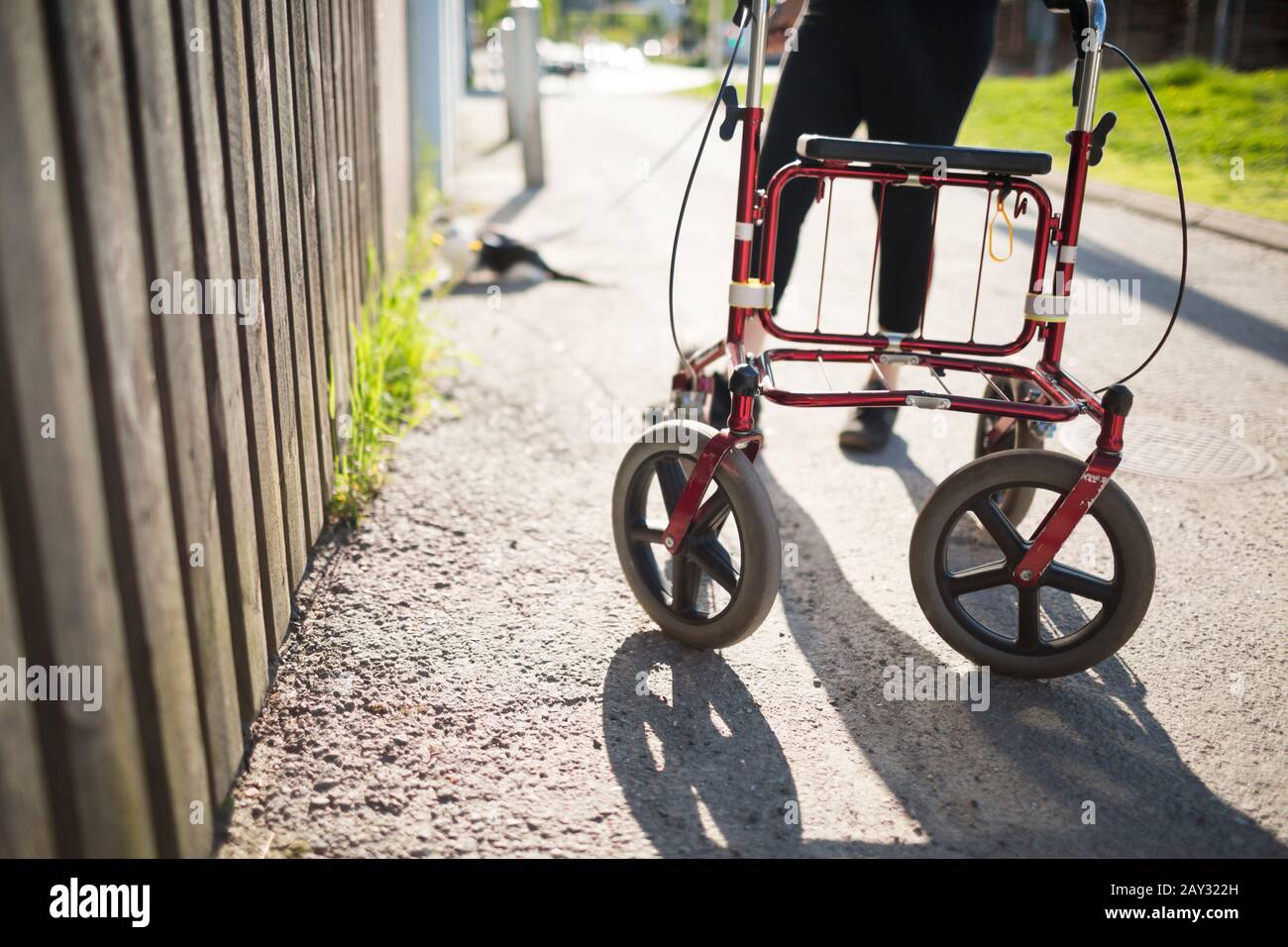 Mobility walker hi-res stock photography and images - Alamy