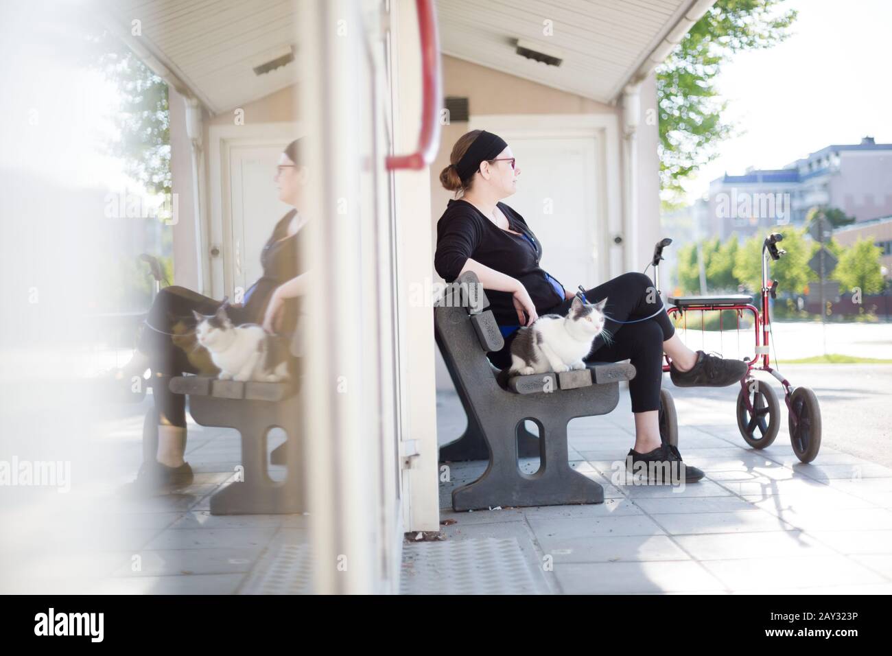 woman with rollator sitting on park bench Stock Photo - Alamy