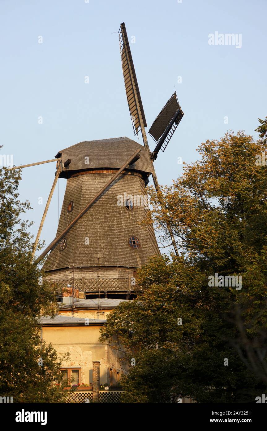 historical windmill in the Sanssoucie castle park Stock Photo - Alamy