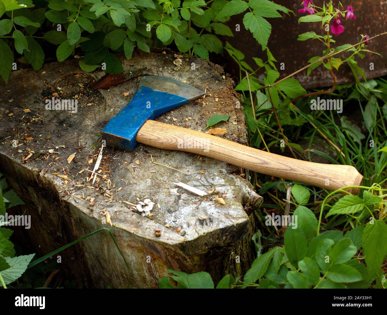 Modern logging equipment hi-res stock photography and images - Alamy