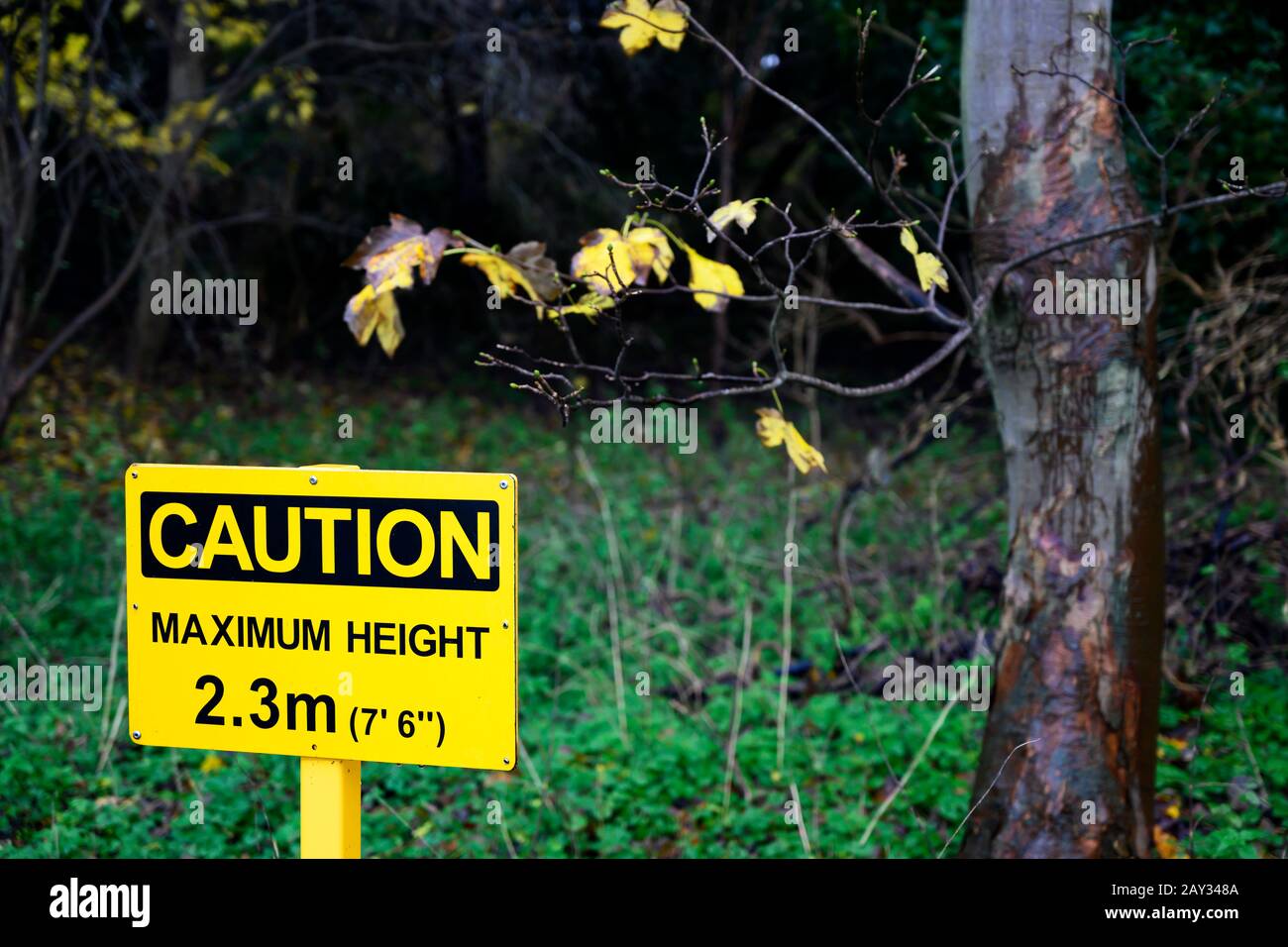 Caution Maximum Height sign to rural carpark Stock Photo - Alamy