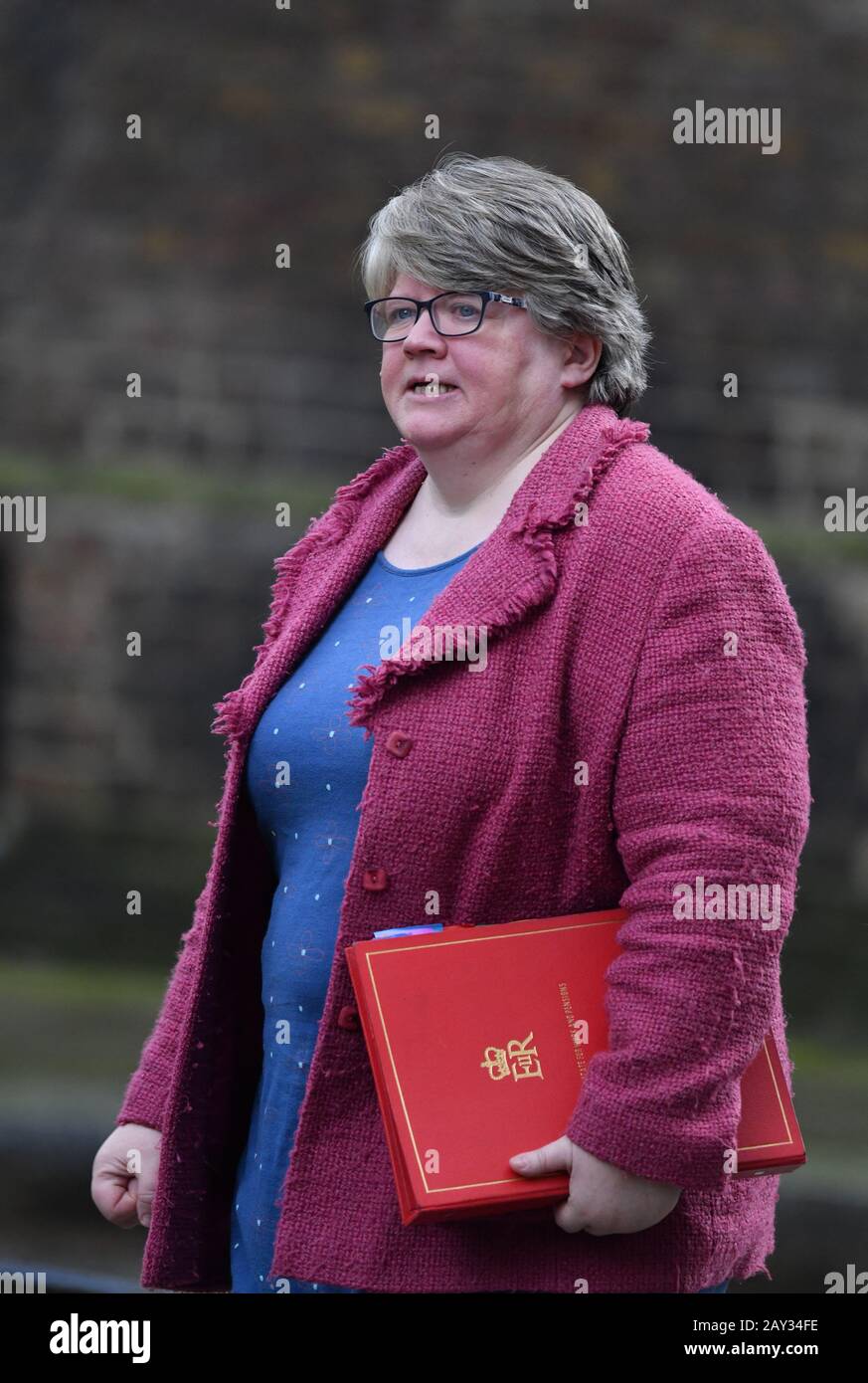 Dr therese coffey mp hi-res stock photography and images - Alamy