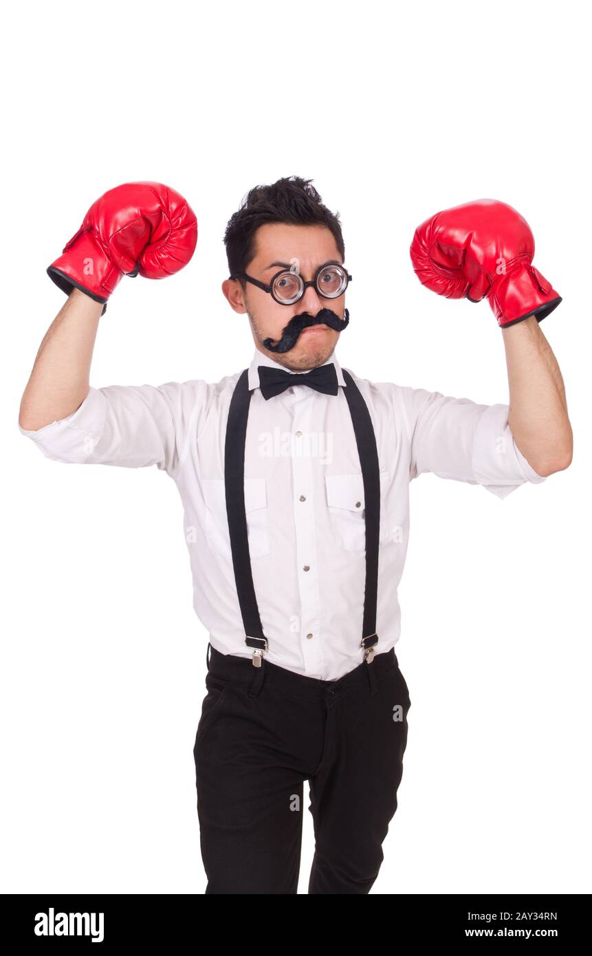 Funny boxer isolated on the white background Stock Photo - Alamy